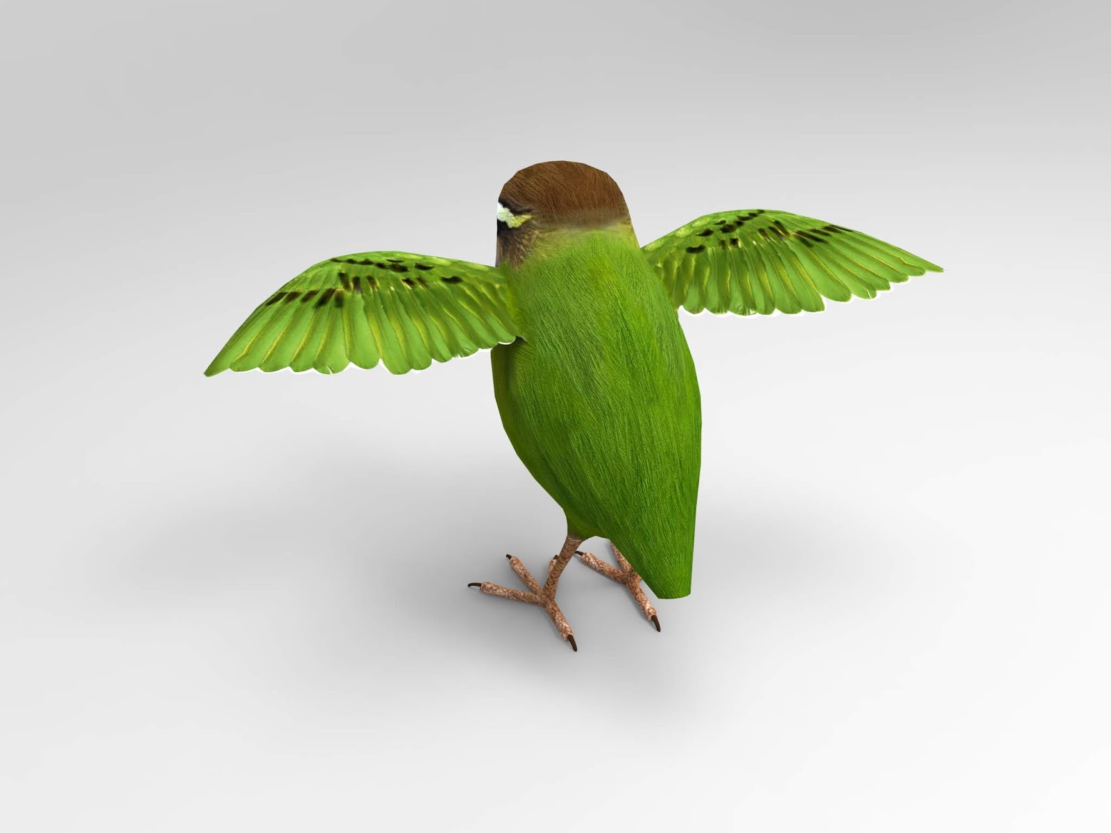 Yogesh Ramu Chaure: Low-poly Bird Model, Model done in Maya and ...