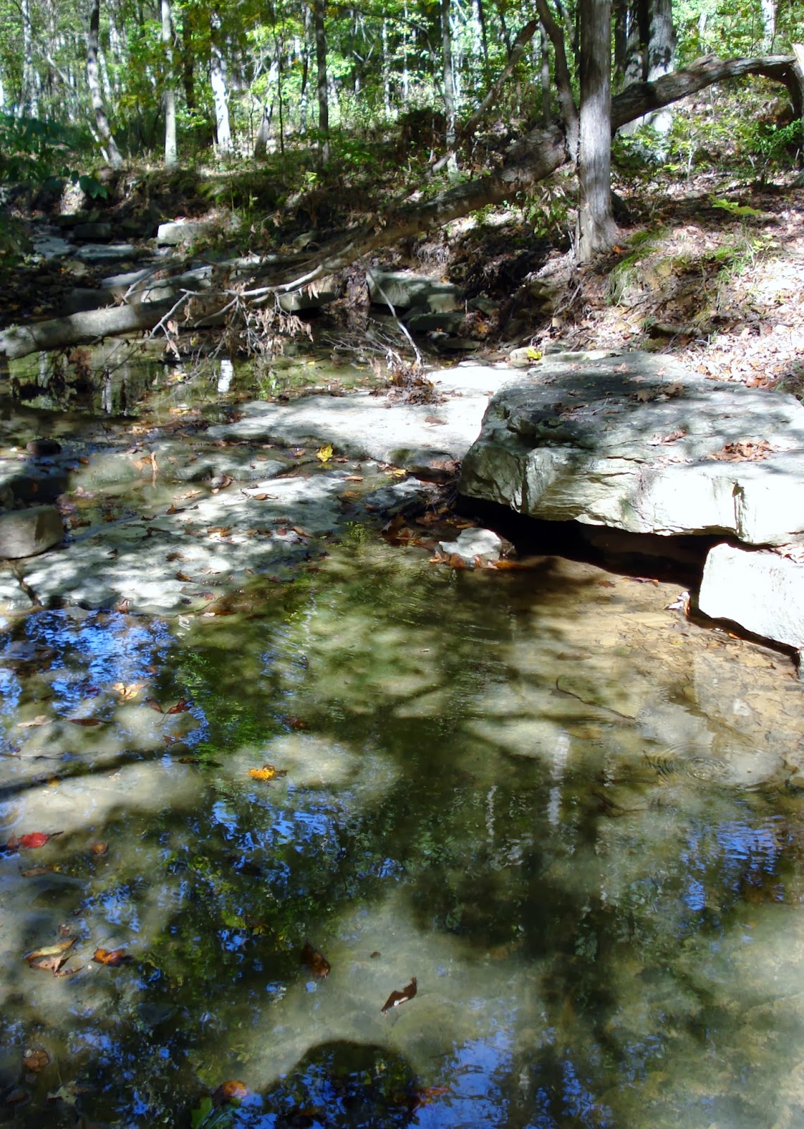 Experiencing Illinois: Jackson Falls - Shawnee National Forest
