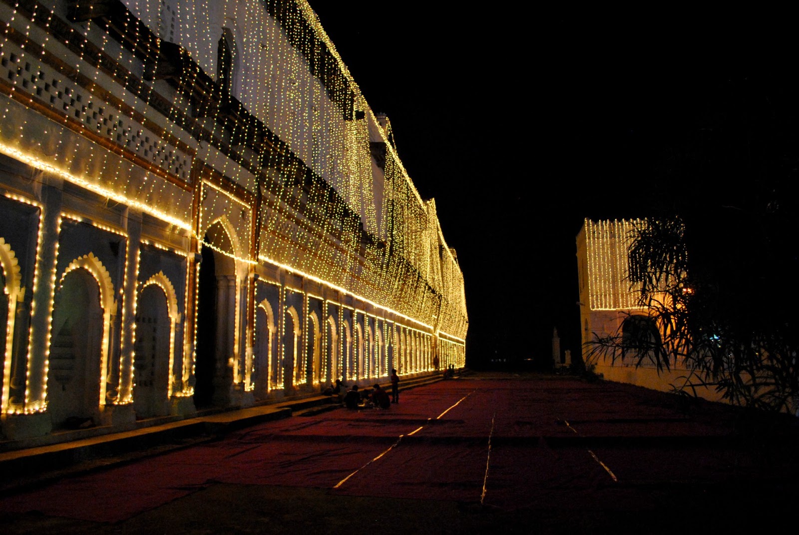 Through Picture: Raghunath palace of Surguja state