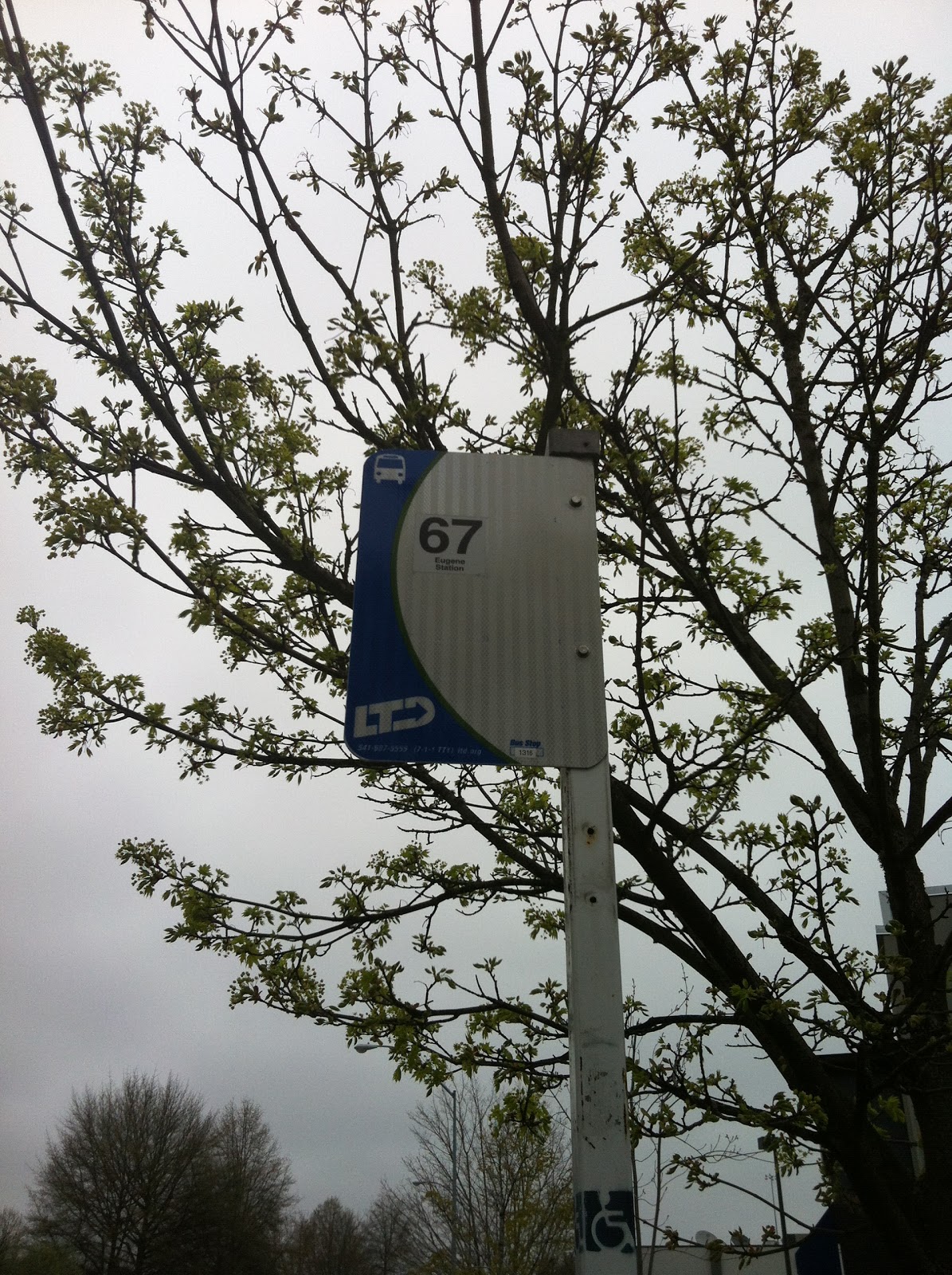 RANTINGS OF A FORMER TRIMET BUS DRIVER: Good Bus Stop Design - in Eugene