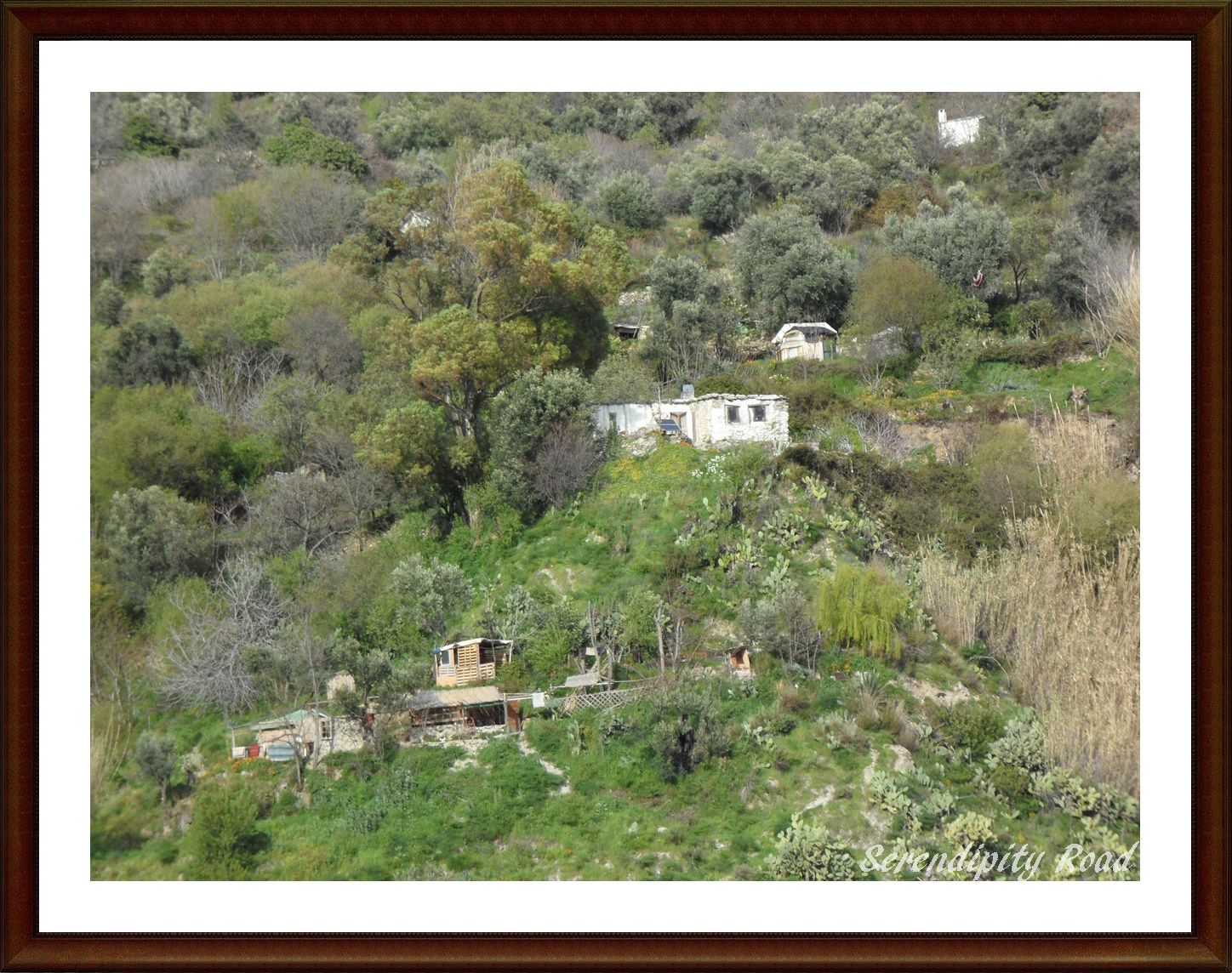 On the Serendipity Road: Pictures from Beneficio/Spain Part 3 // Bilder ...