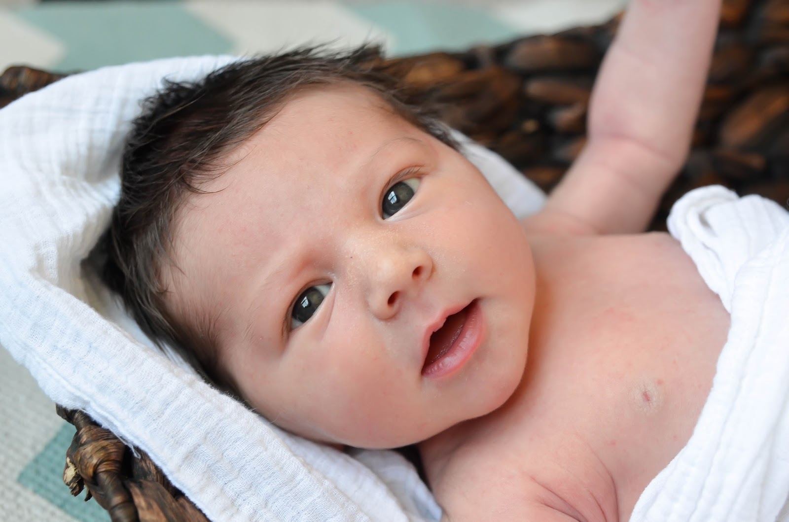 Jacee Beck Photography: Baby Liam