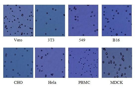 Countstar® BioLab Automated Cell Counter