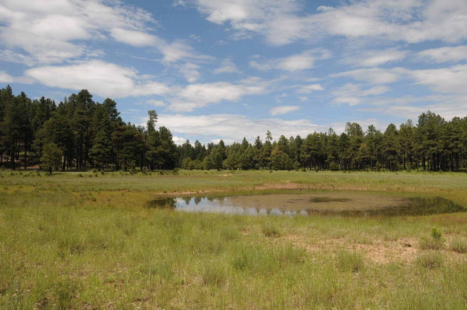 Arizona Hiking: CARR LAKE TRAIL SYSTEM