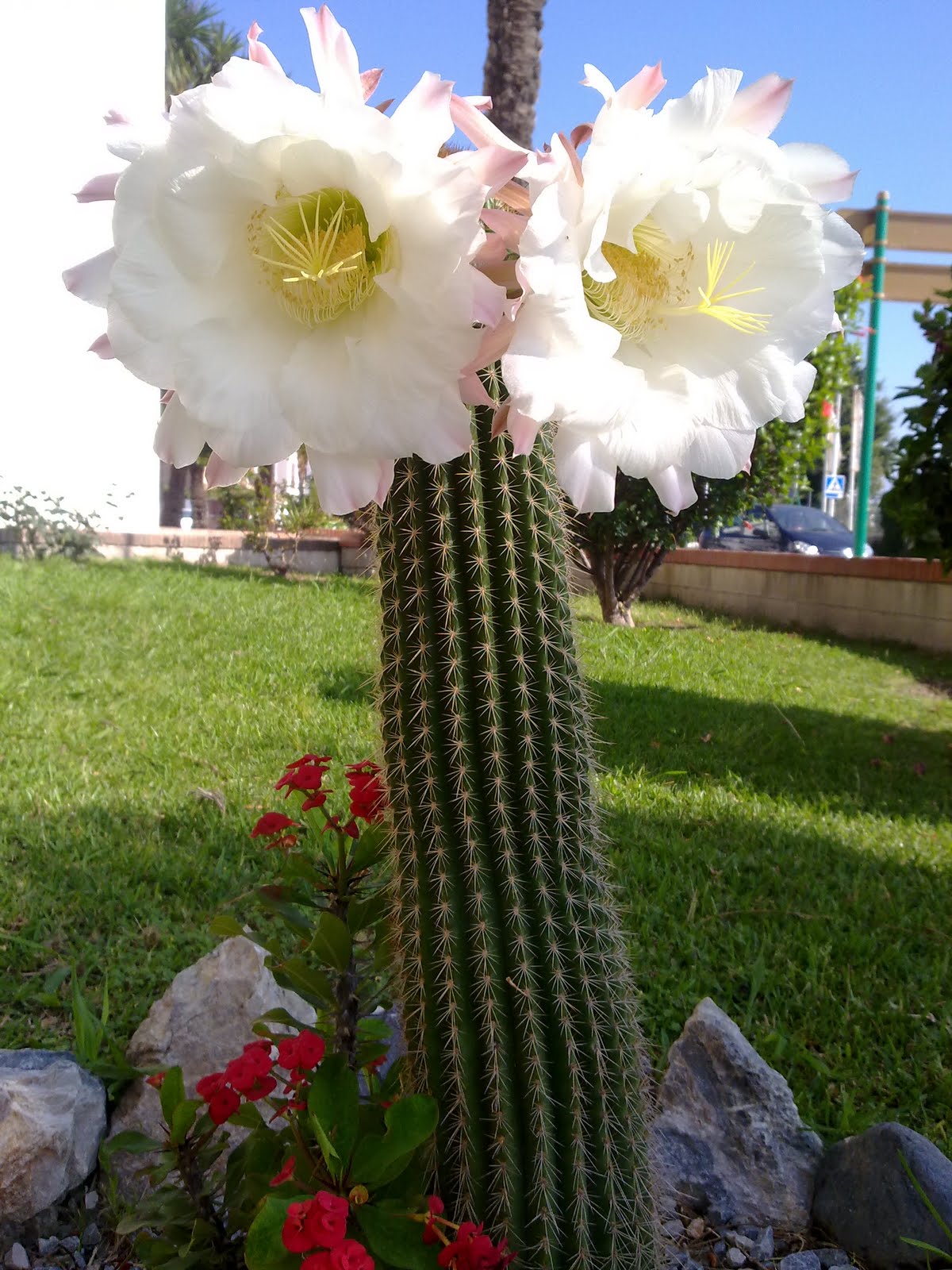 Instantes de una vida: Captus