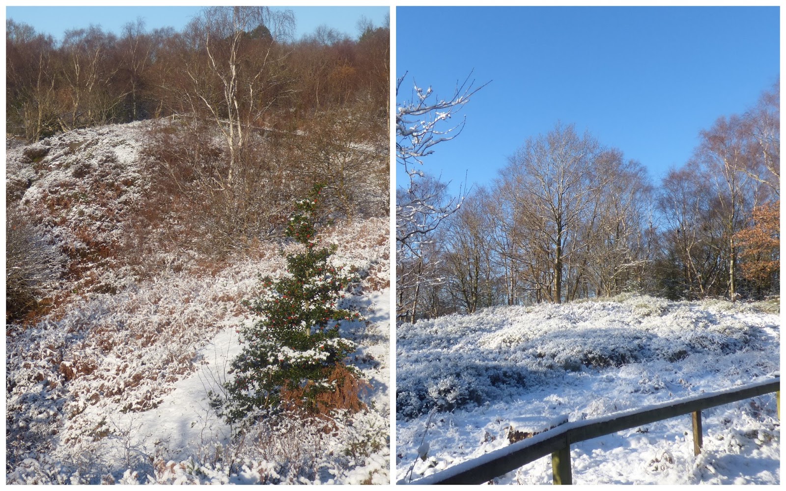 Friends of Heswall Dales: Your Visit