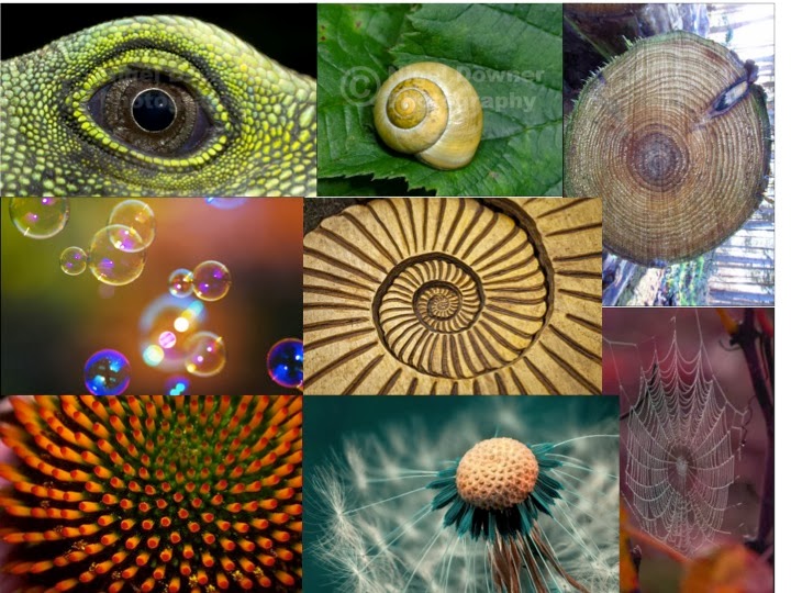 Conor's Circles: MOODBOARD