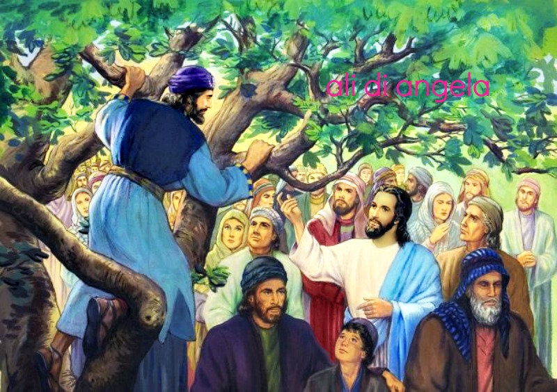 Le ali di Angela: Zaccheo