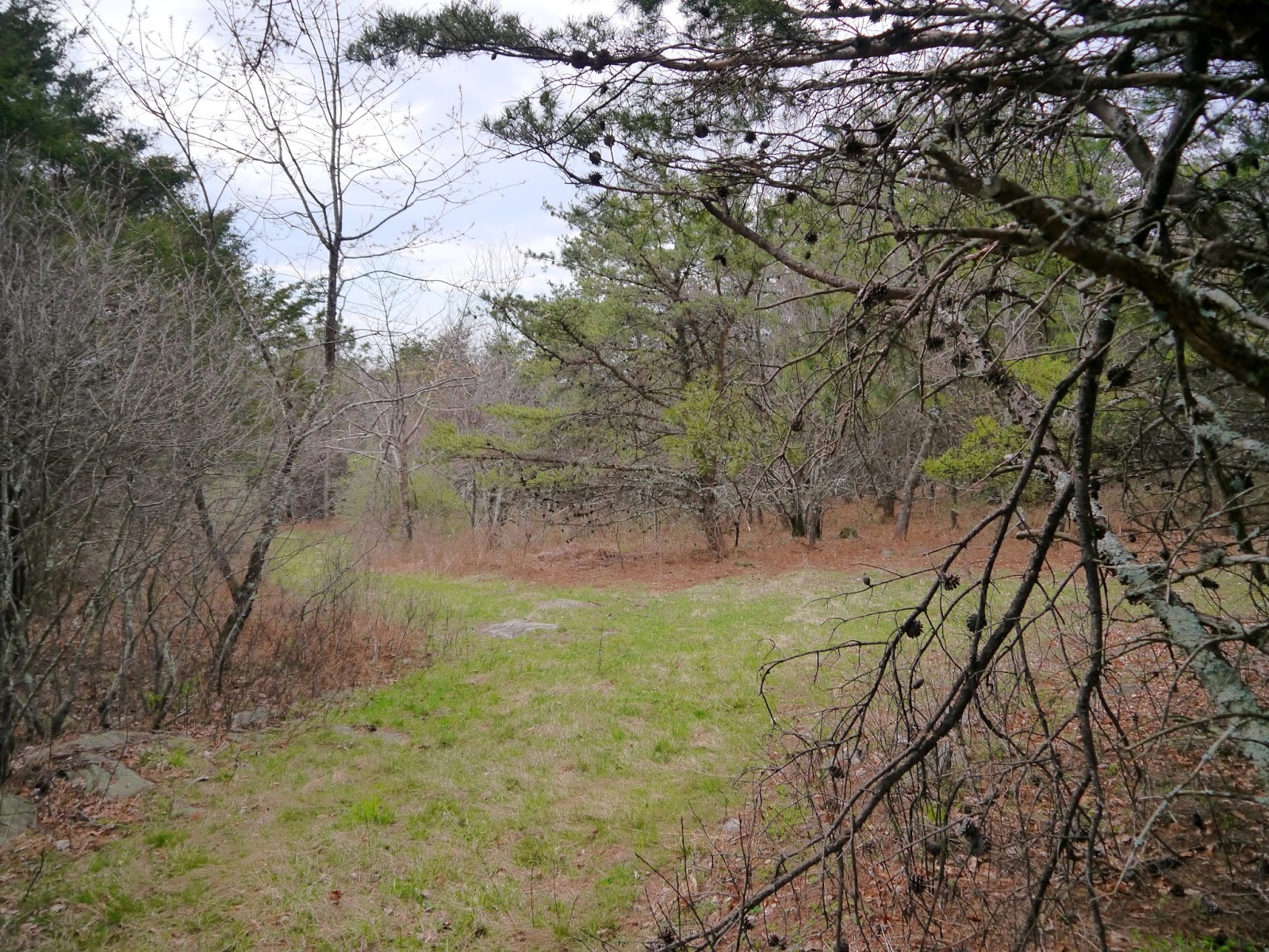 American Travel Journal: McCormick Gap to Beagle Gap - Appalachian ...