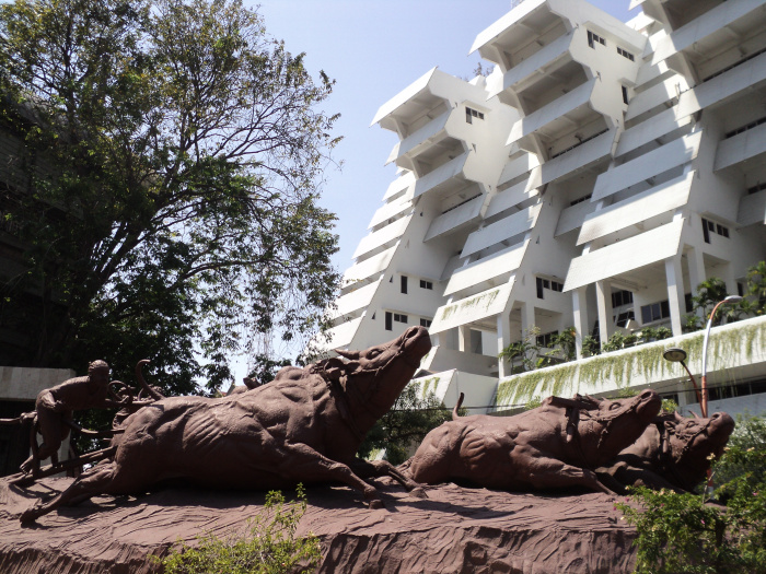 Peternak Pembelajar: KARAPAN SAPI, ANTARA BUDAYA, HIBURAN DAN TUNTUNAN ...