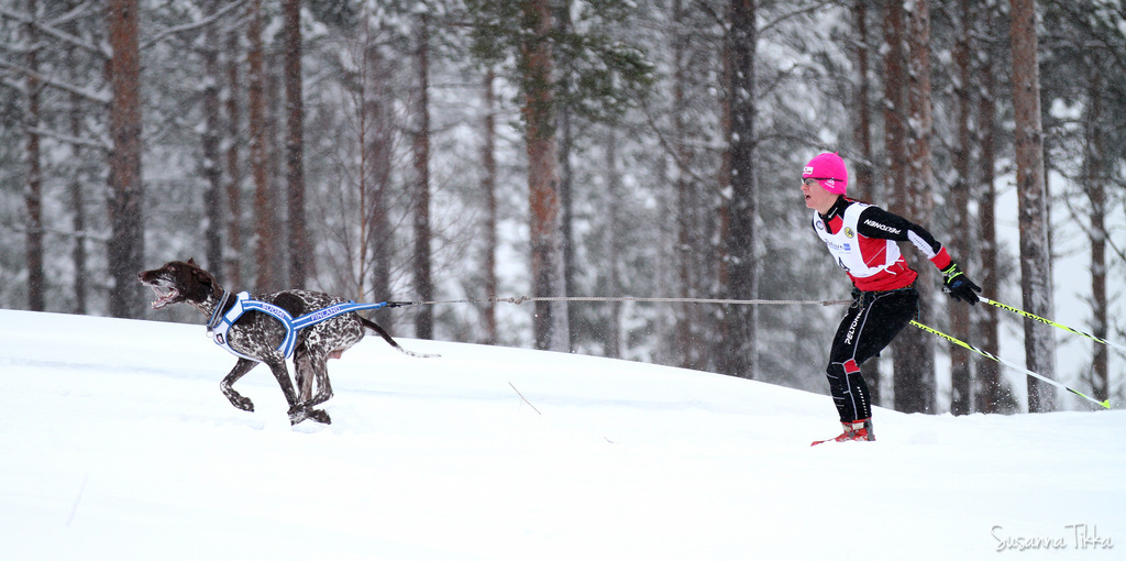 Minna Viide: Gallery