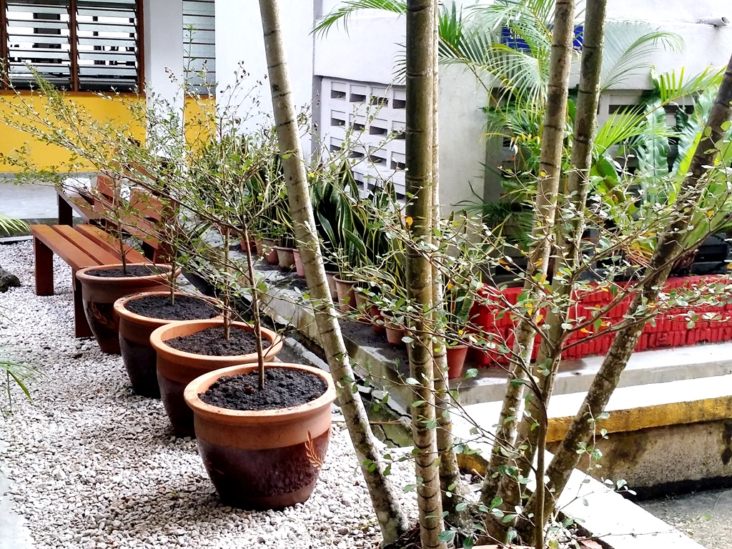 MPV LANDSKAP DAN NURSERI: ELEMEN TAMAN