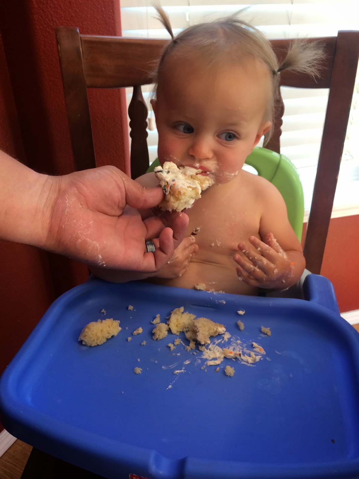 The Pemberton's: Colbi Lyn turns 1!!