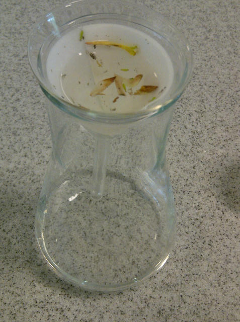 Scheikunde Manouk: Filtreren van slootwater - 26 april '12