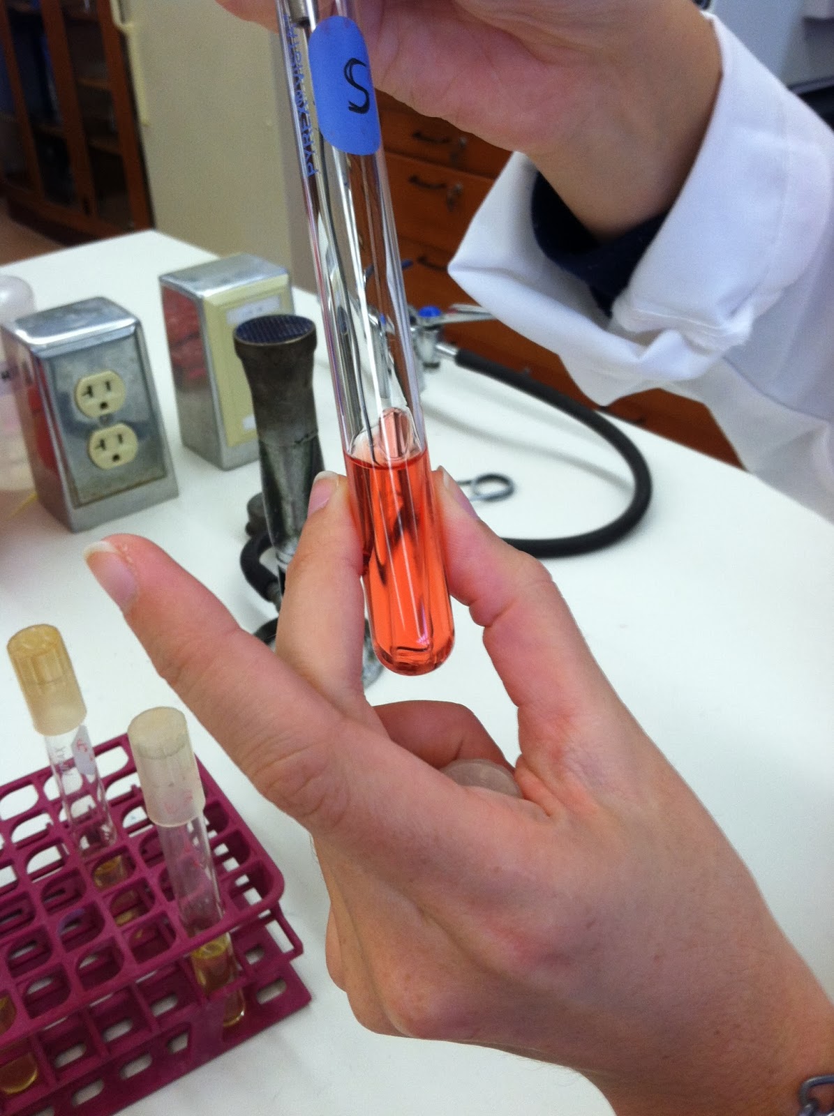 Rose & Lindsey's Medical Microbiology Blog: Testing For Sucrose ...