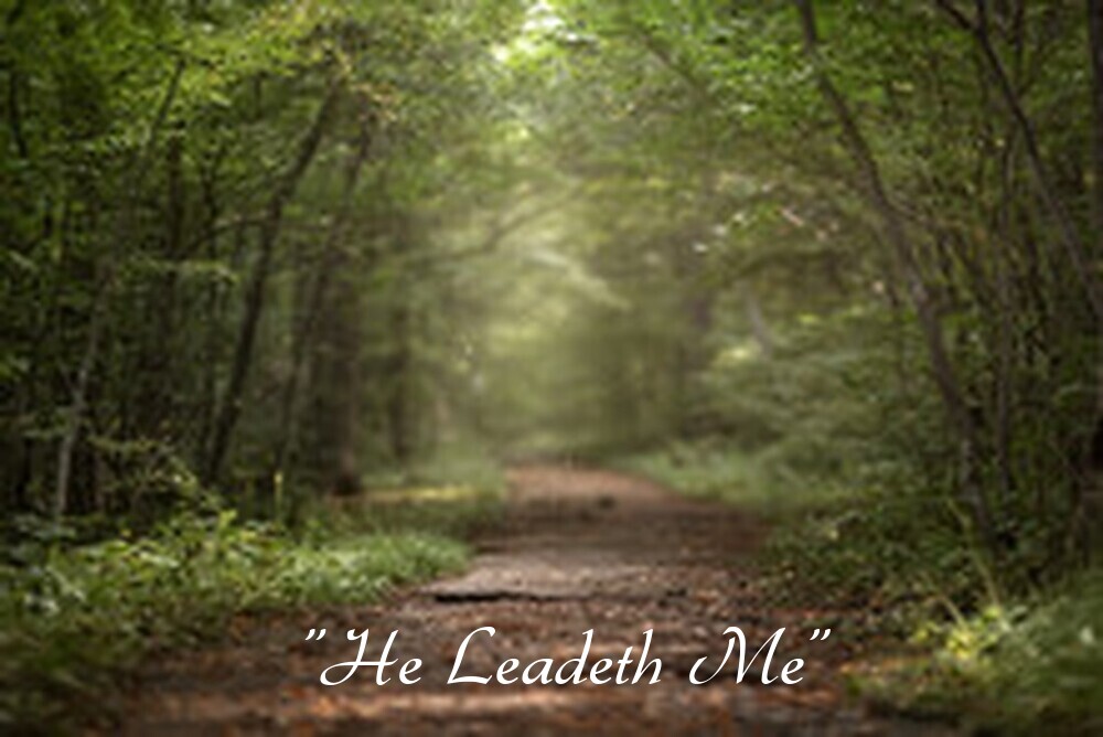 The Notorious Meddler: Hymns of Hope: He Leadeth Me