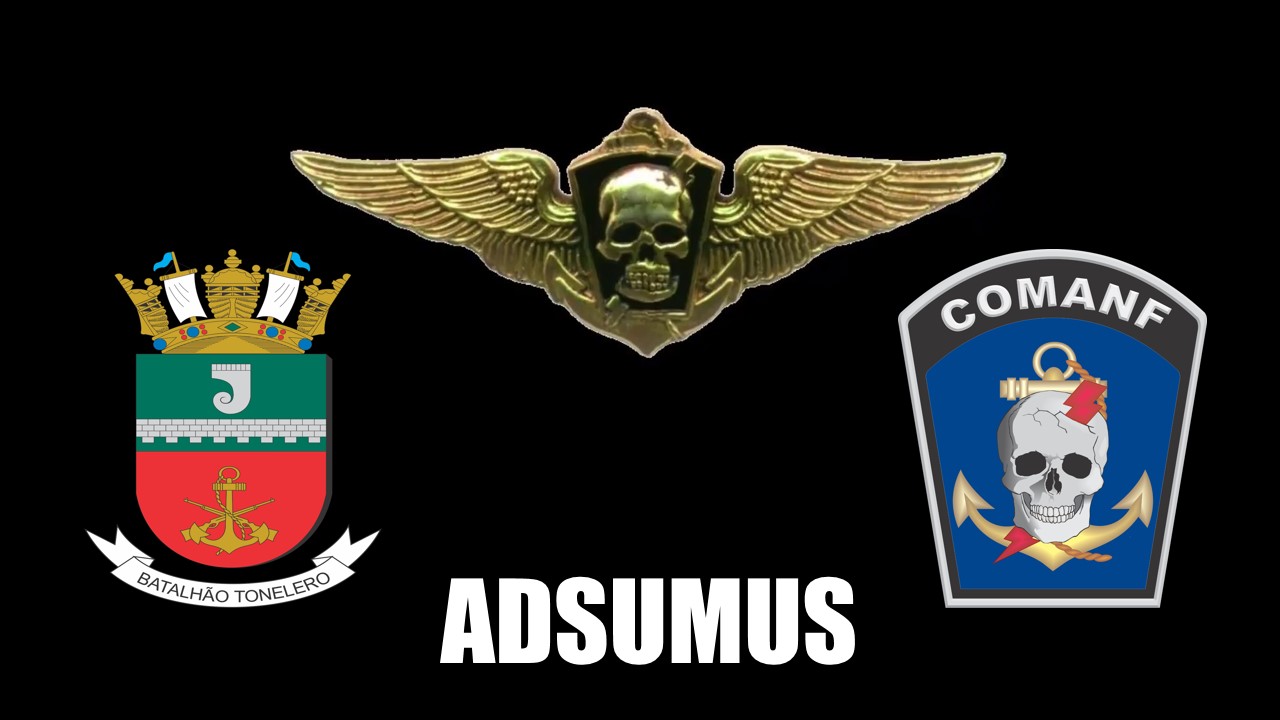 FOpEsp (Forças de Operações Especiais): Operação INCURSEX 2017 ...