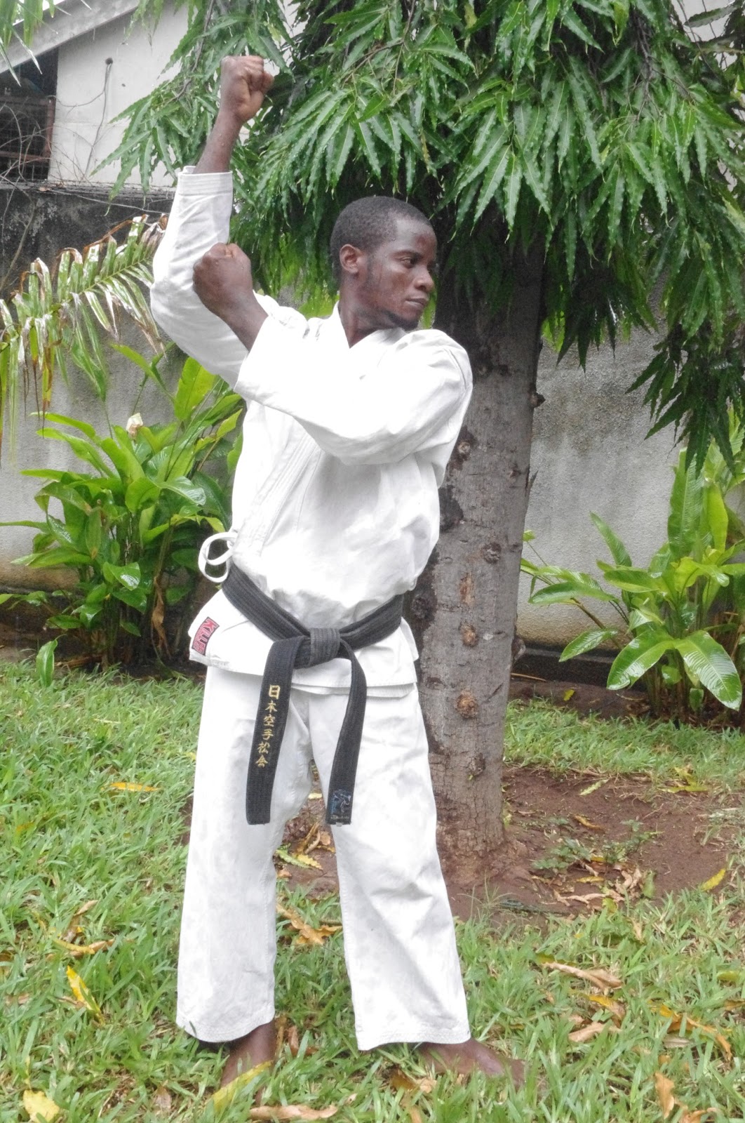 Karate Terminology - THE BLACK SAMURAI