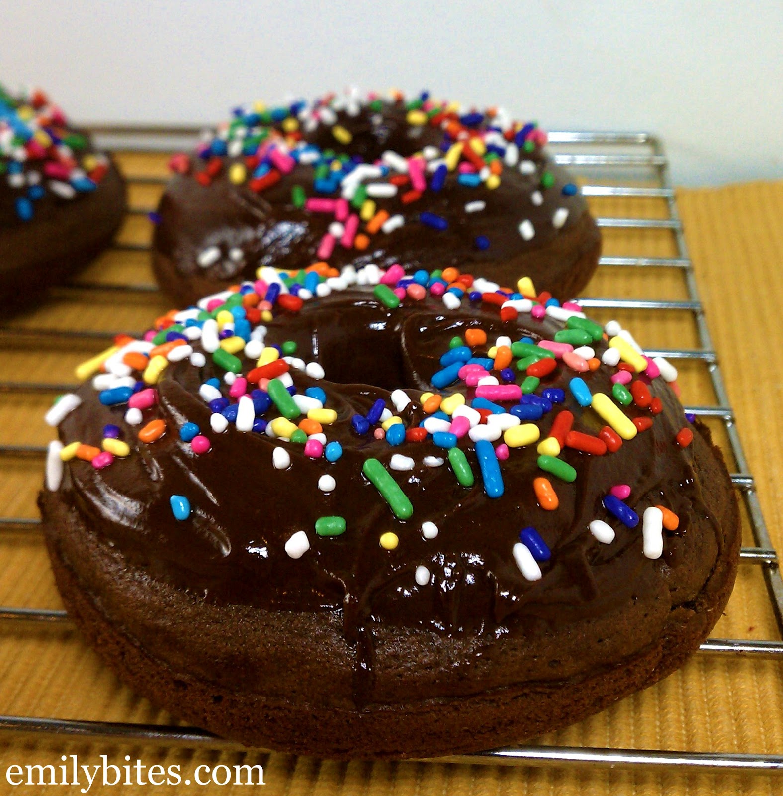 Chocolate Frosted Doughnuts | Pinnutty.com
