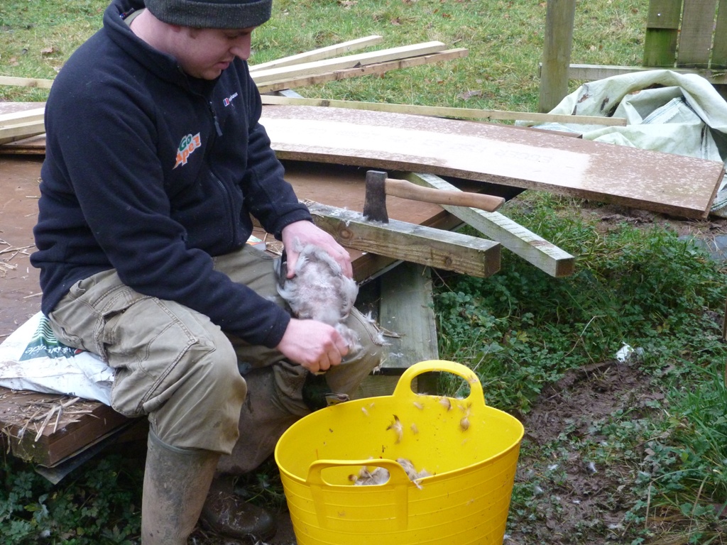 An English Homestead: Plucking Ducks