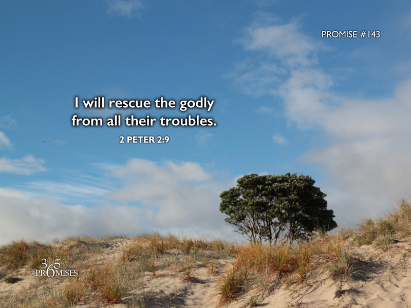 IMMANUEL GOD WITH US: I will rescue the godly from all their troubles.