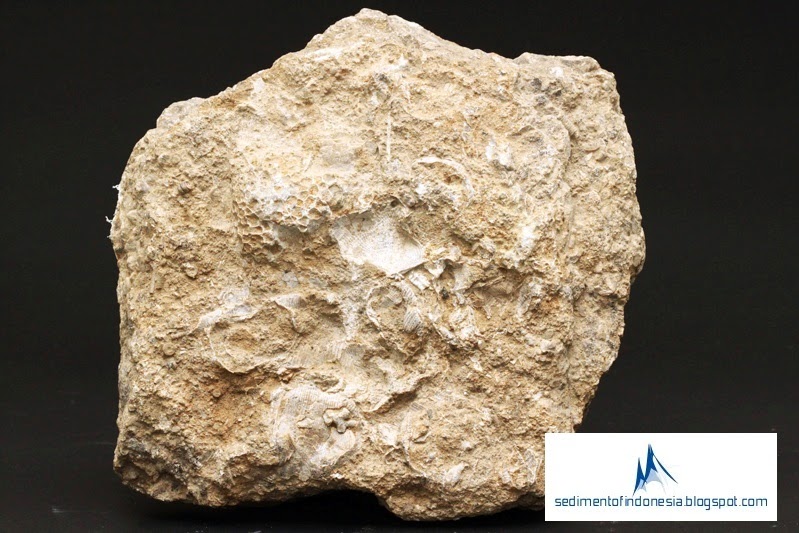Batuan 4 (Mineral Penyusun Batuan Sedimen) ~ sedimentary of Indonesia