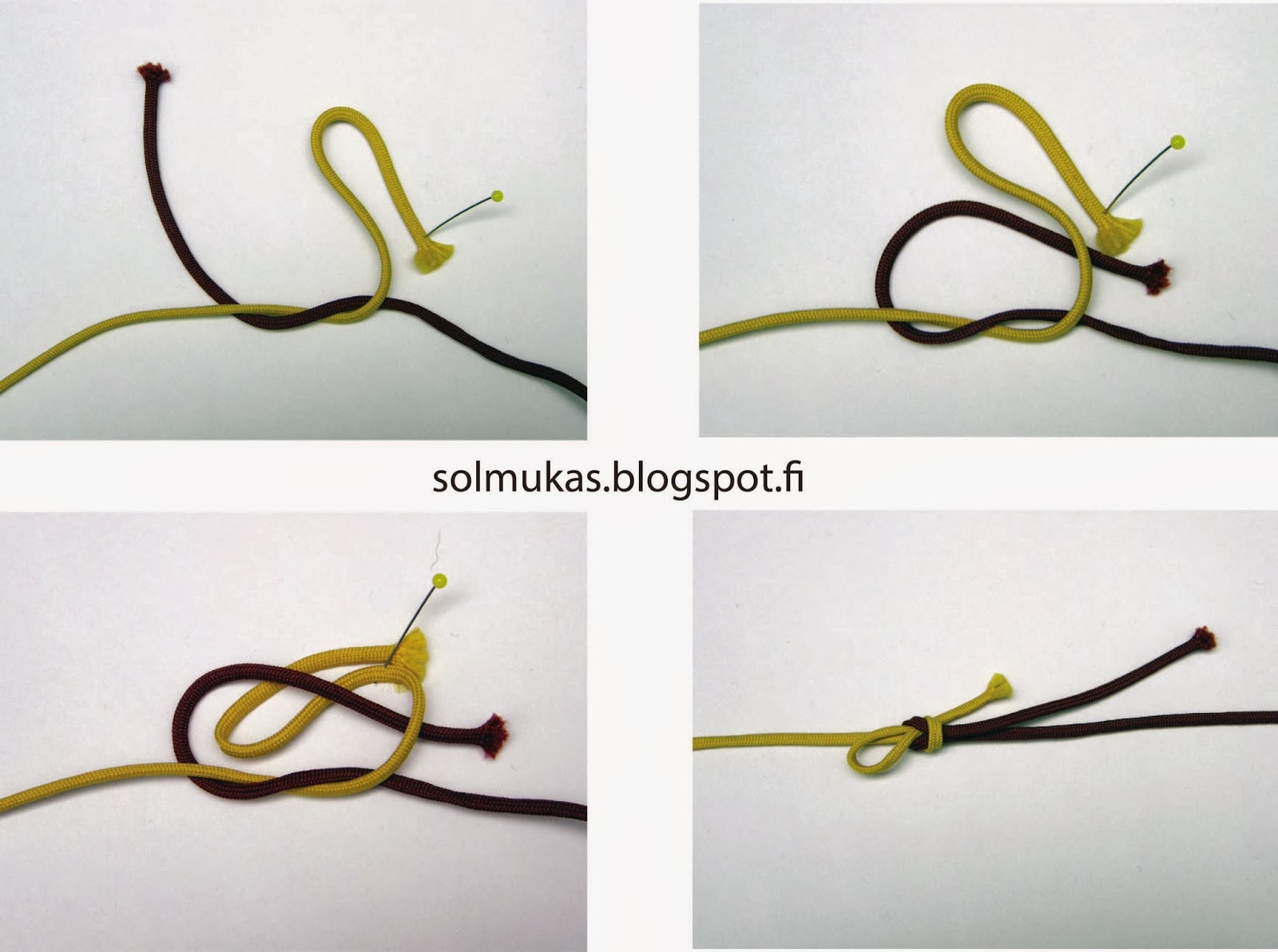 Solmukas: Merimiessolmu ja sen sukulaiset