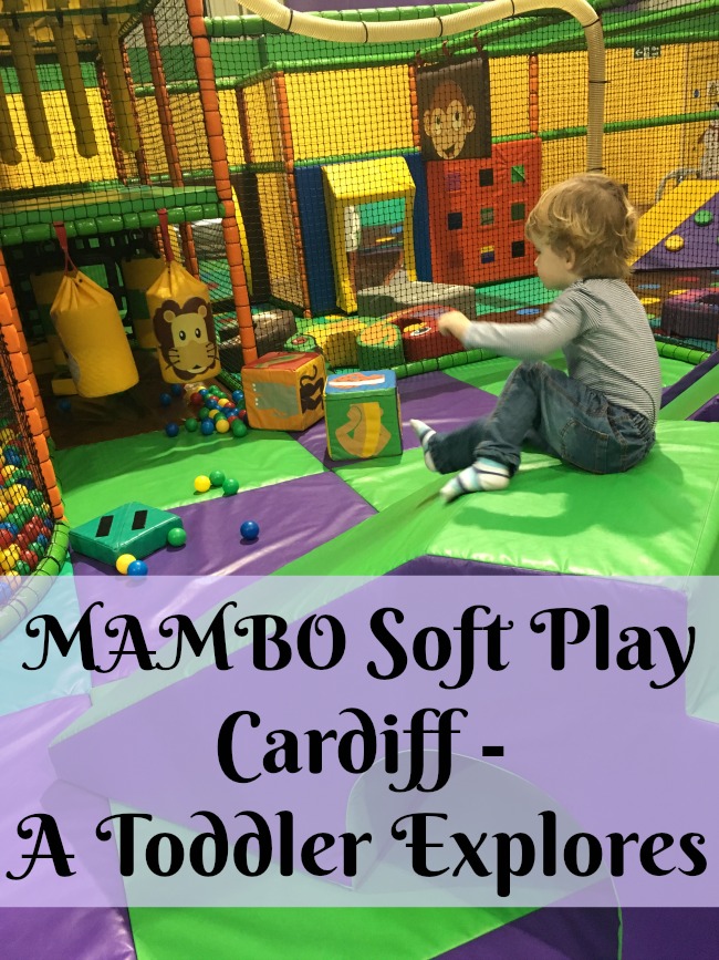 Mambo Soft Play Cardiff - A Toddler Explores | Teddy Bears And Cardigans