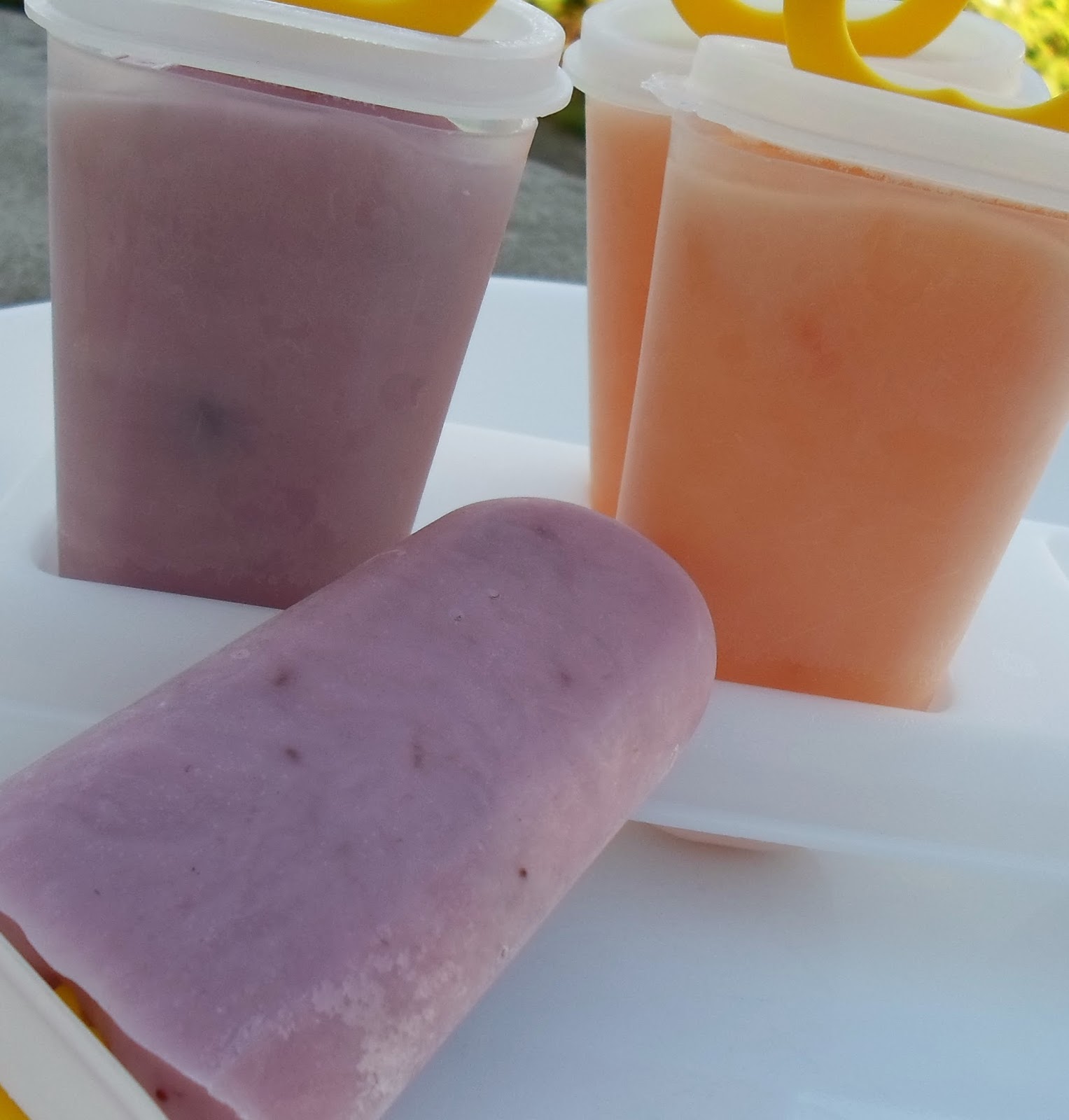 Happier Than A Pig In Mud: Frozen Yogurt