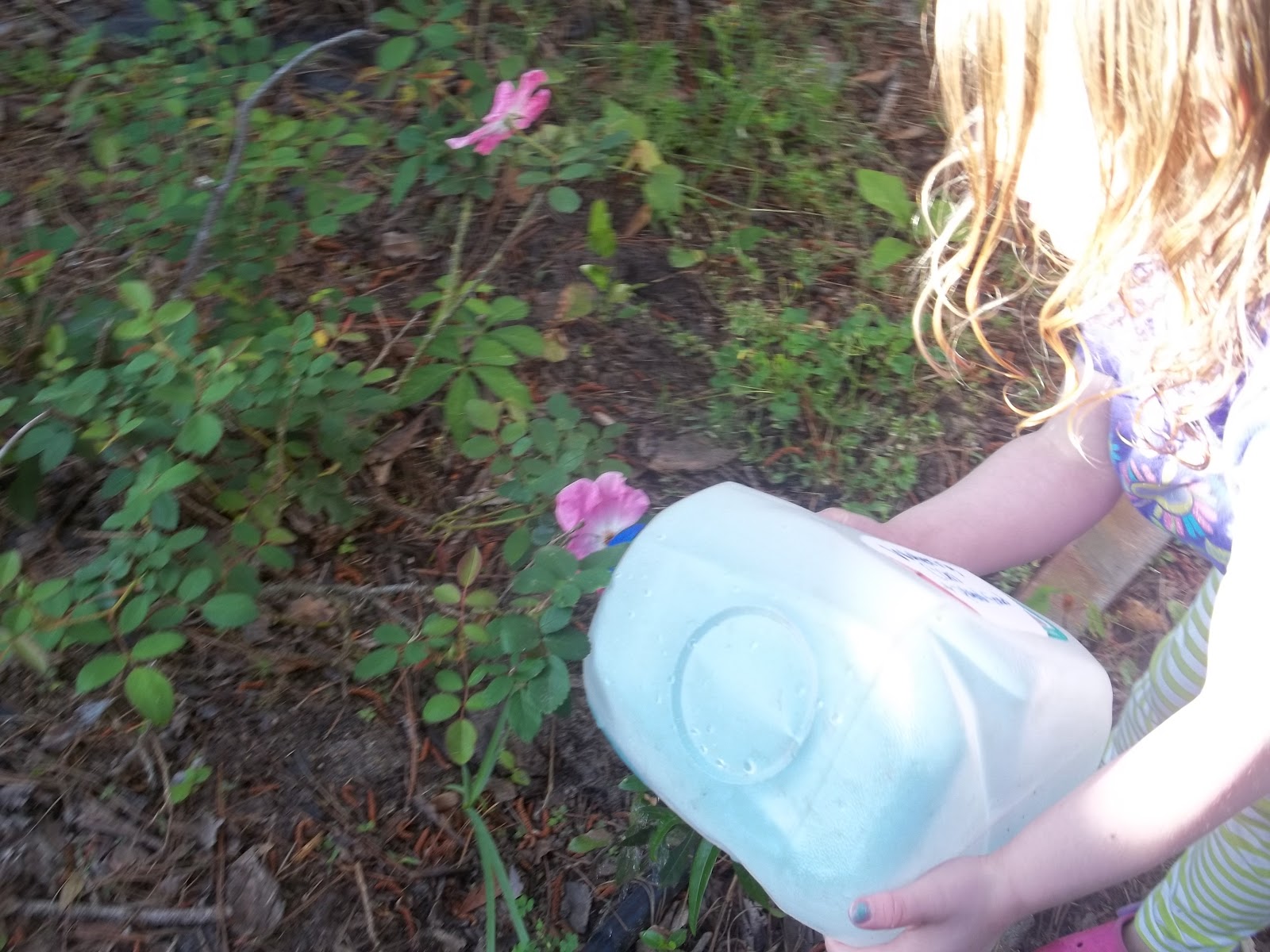 Just Makin' It: Curriculum Review: Earth Day (Week) Activities