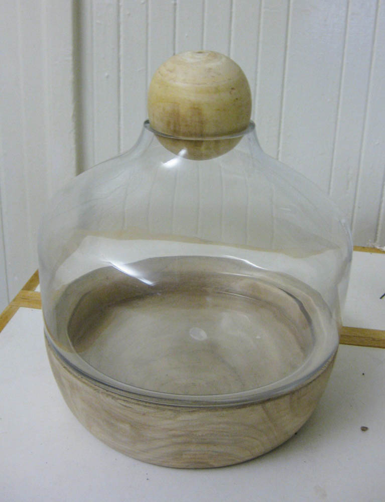 SF Bay Area Etsy Street Team: Tuestorial: Terrariums