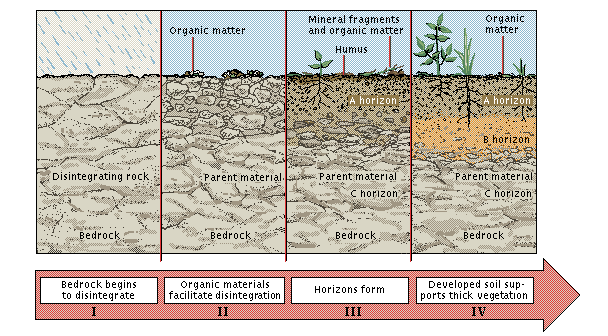 AGRICULTURAL SCIENCE FOR JSS TWO.: LESSON ONE: MEANING OF SOIL AND IT'S ...