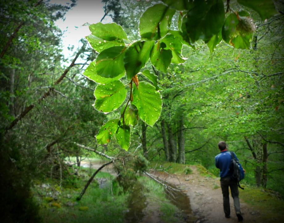 Biciorama: Húmedo y verde: Estrenamos el verano en el Parque Natural de ...