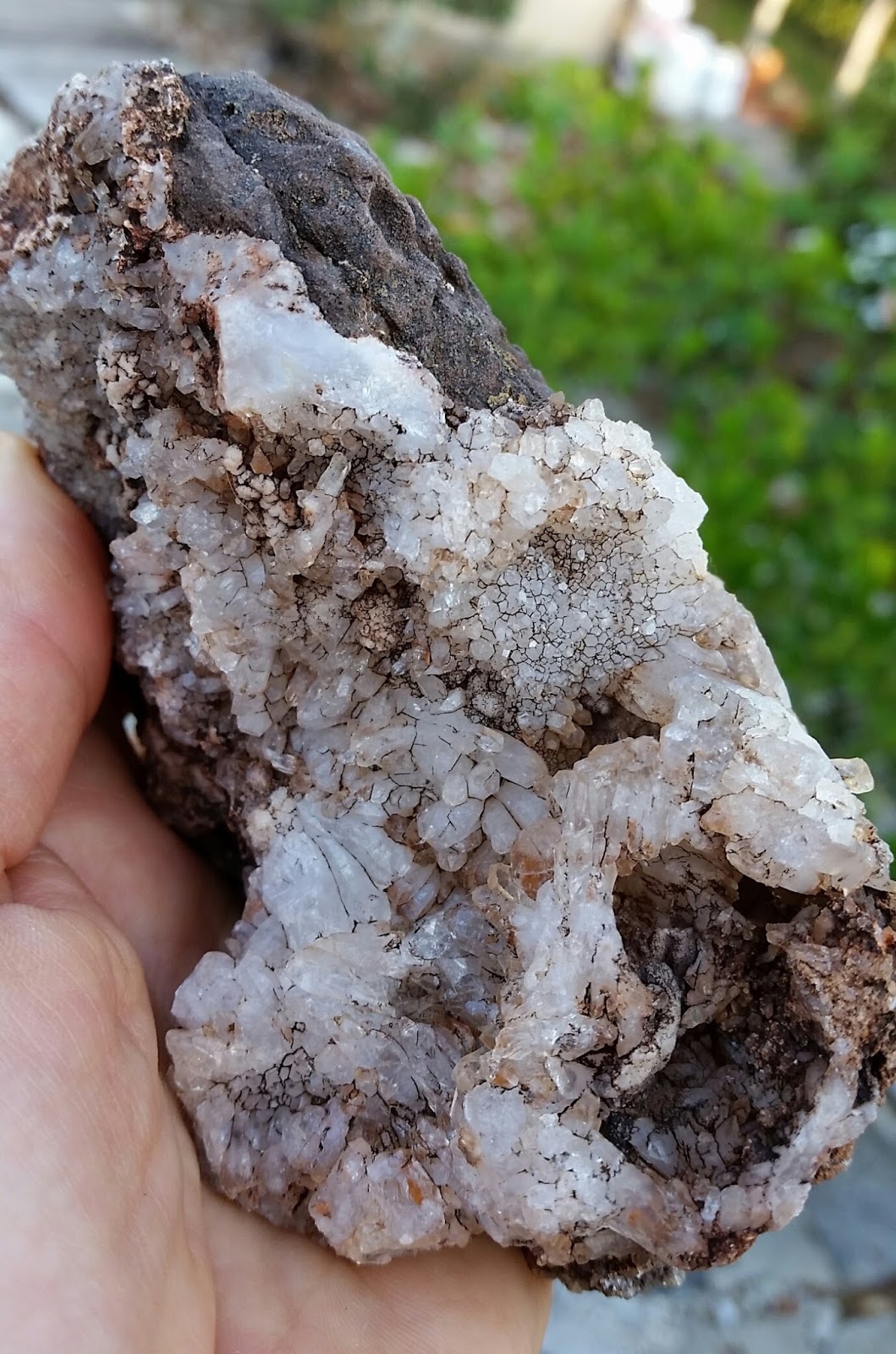 Zookeeper Fossils: Arizona Geode Tour 2016