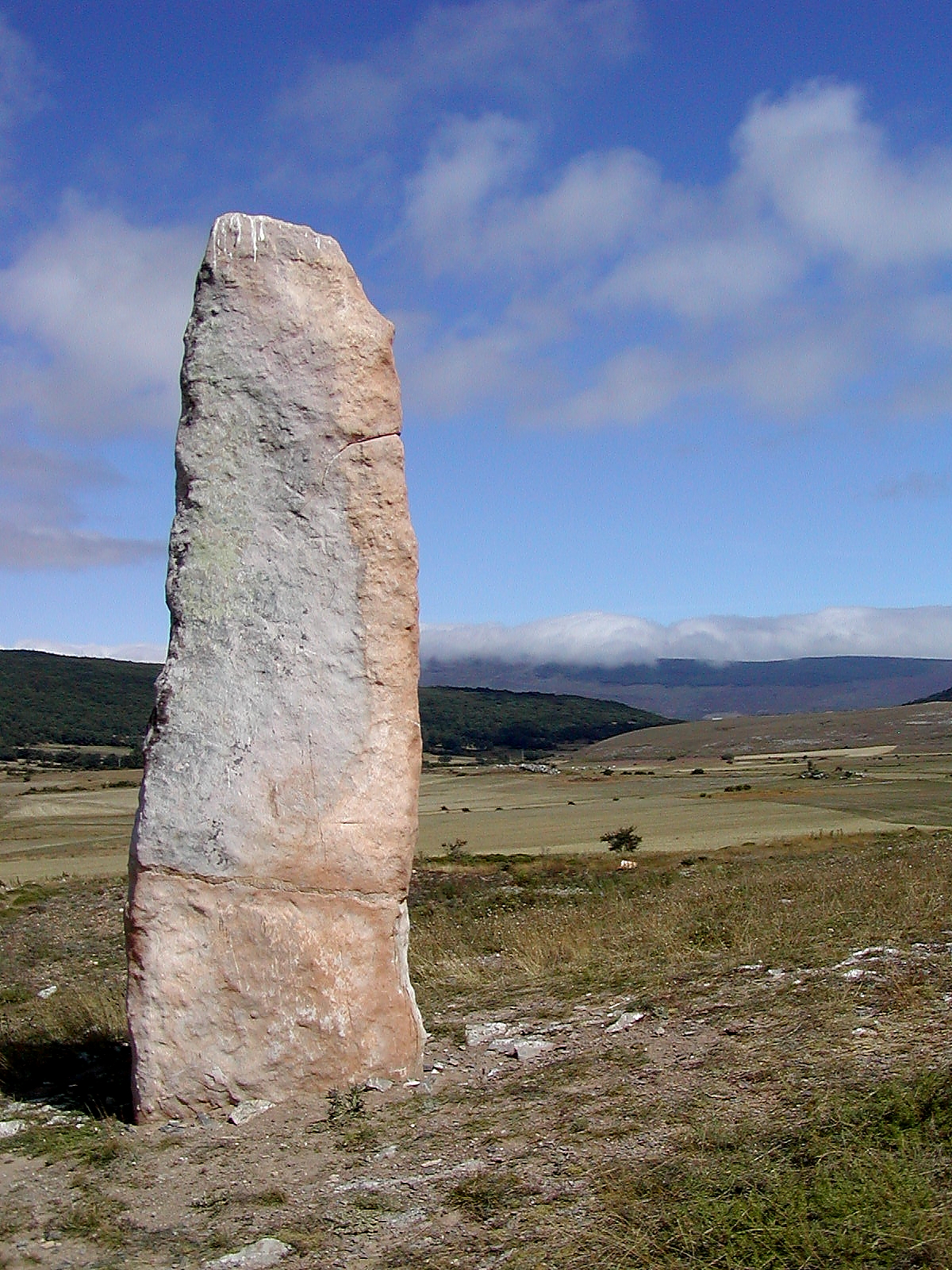 ESPAÑA NATURAL: LOS MENHIRES DE VALDOLEA