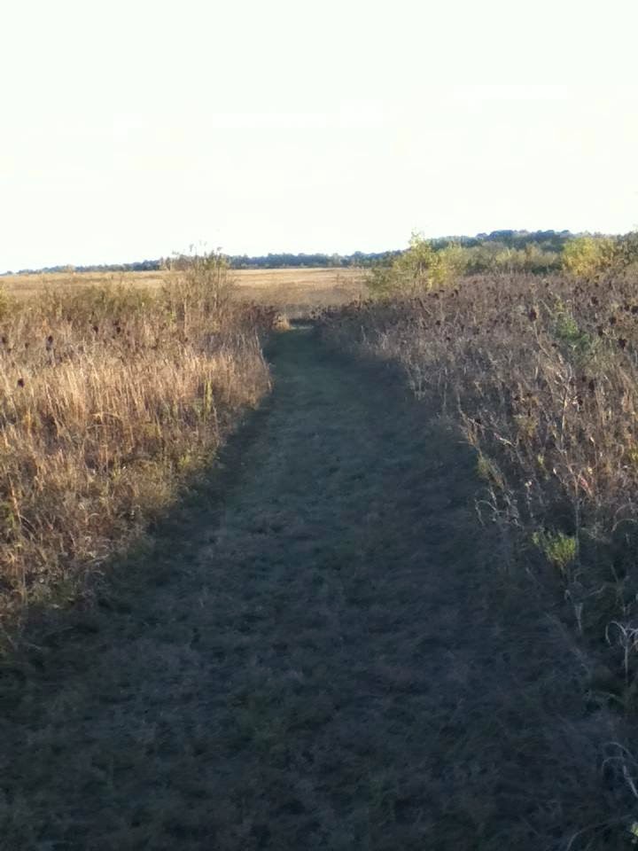 Life On The Tallgrass Prairie: Hiking The Path Of The Earth People
