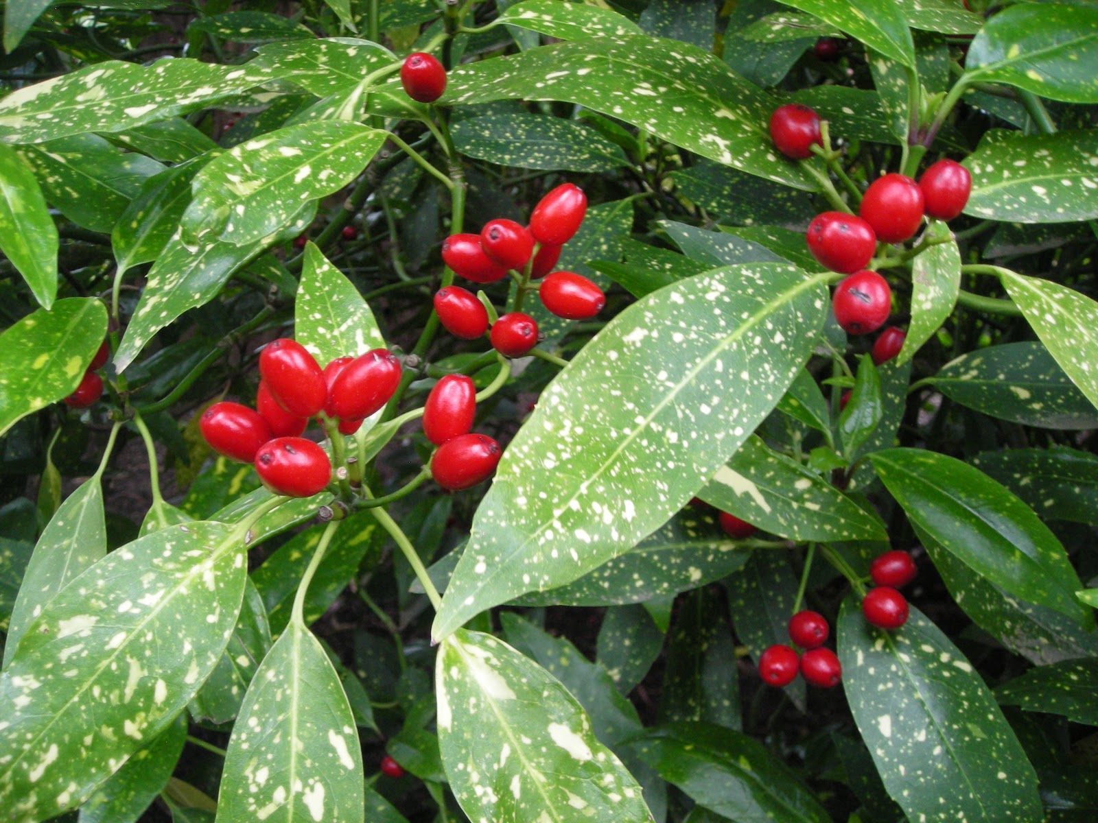 Creating Order In Your World