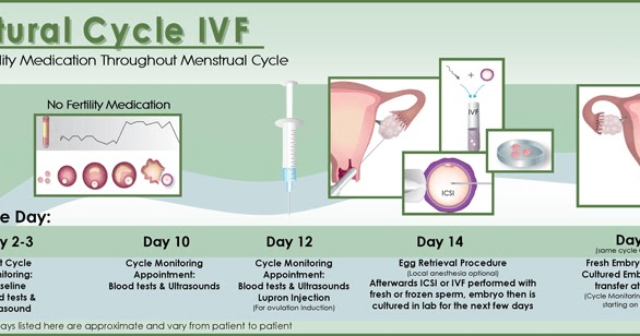 A Glance over the thriving ivf clinics in Hyderabad India