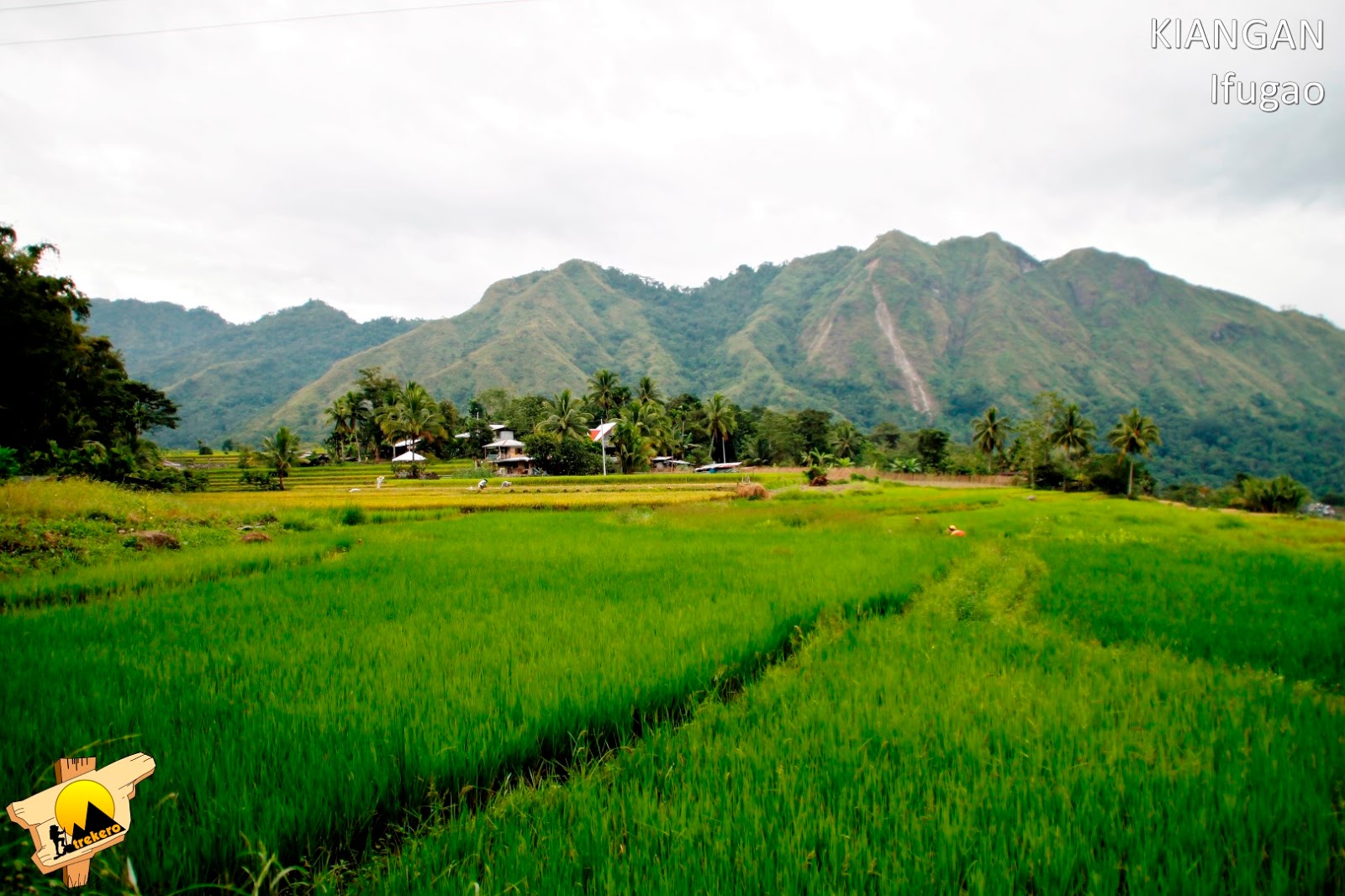 TREKERO: MT. KAPPUGAN: Duo Trek to Kiangan's Silent Peak