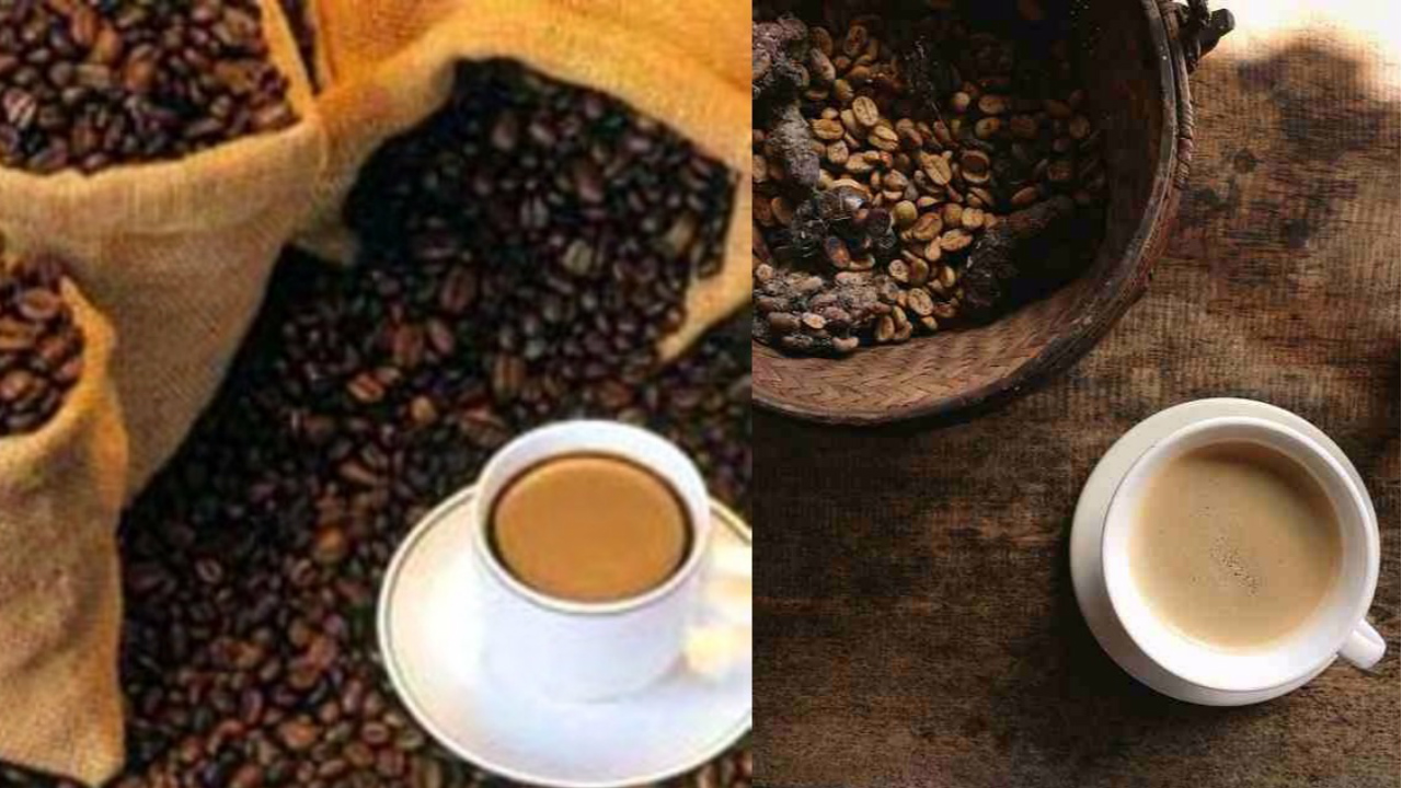 Bean and Leaf - kafa i čaj: KAFA ROBUSTA