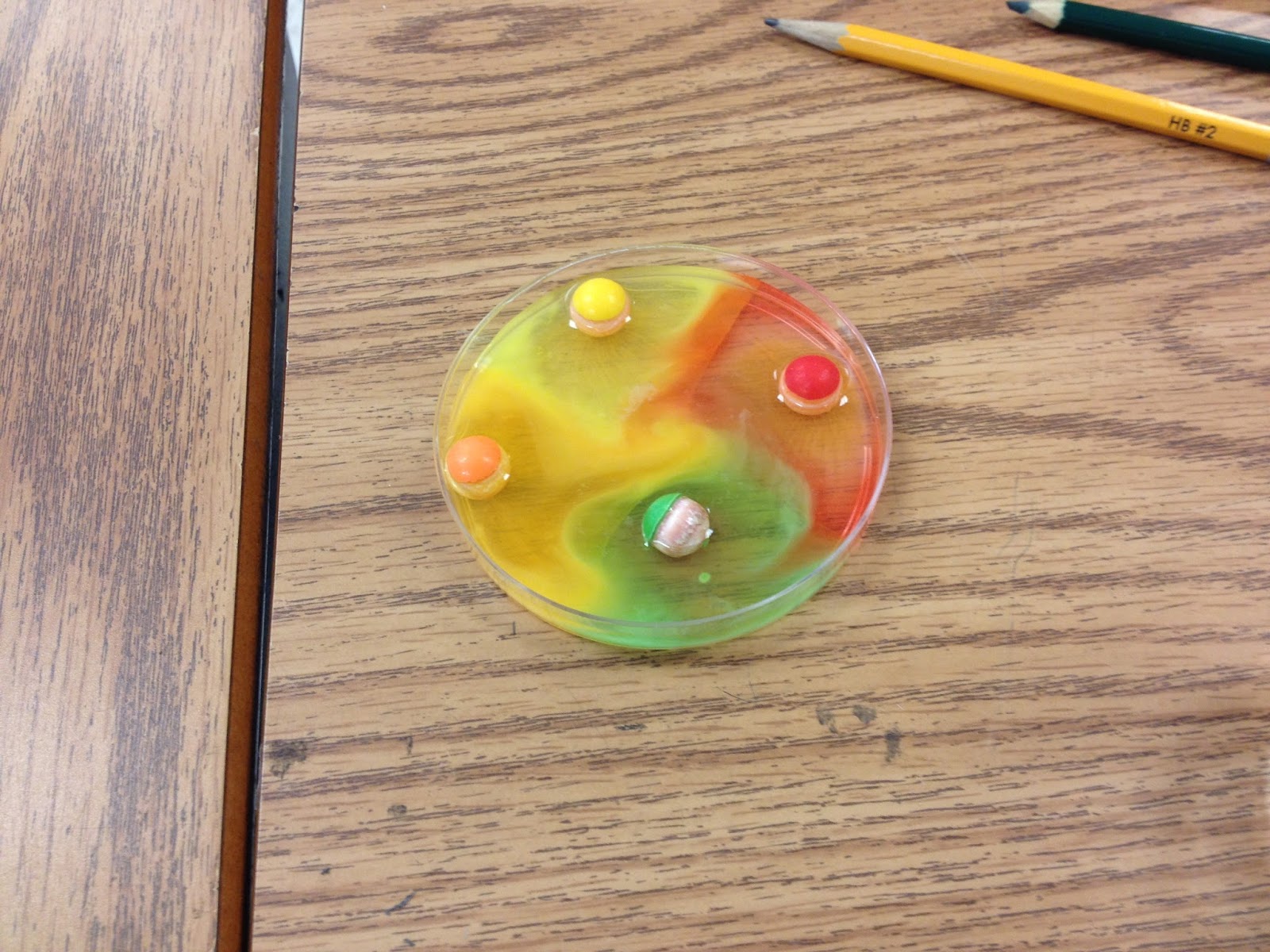 Growing Grade by Grade: The Gobstoppers Science Experiment
