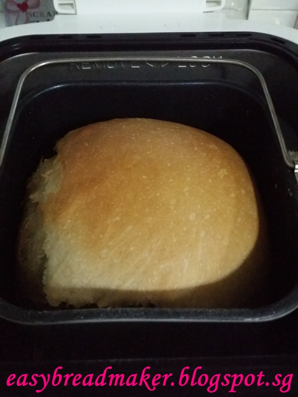 Easy Breadmaker and Cooking 简单面包机: Chocolate Milk and Peanut Butter Chips Hokkaido Loaf