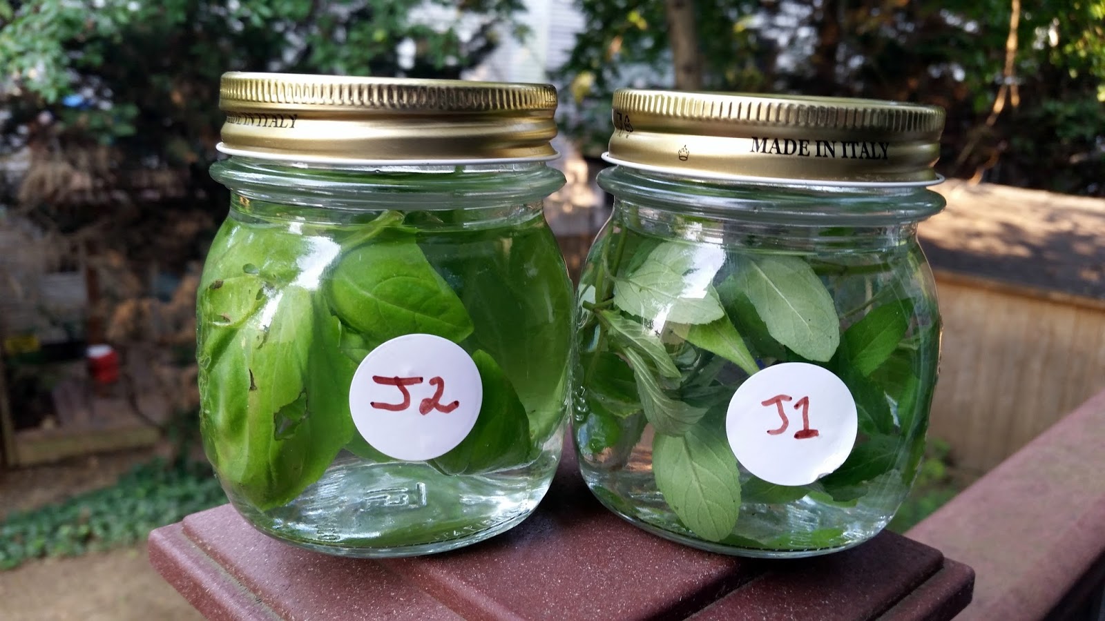 Ben s Journal Very Locally Sourced Infused Vodka ben-s-journal-very-locally-sourced-infused-vodka