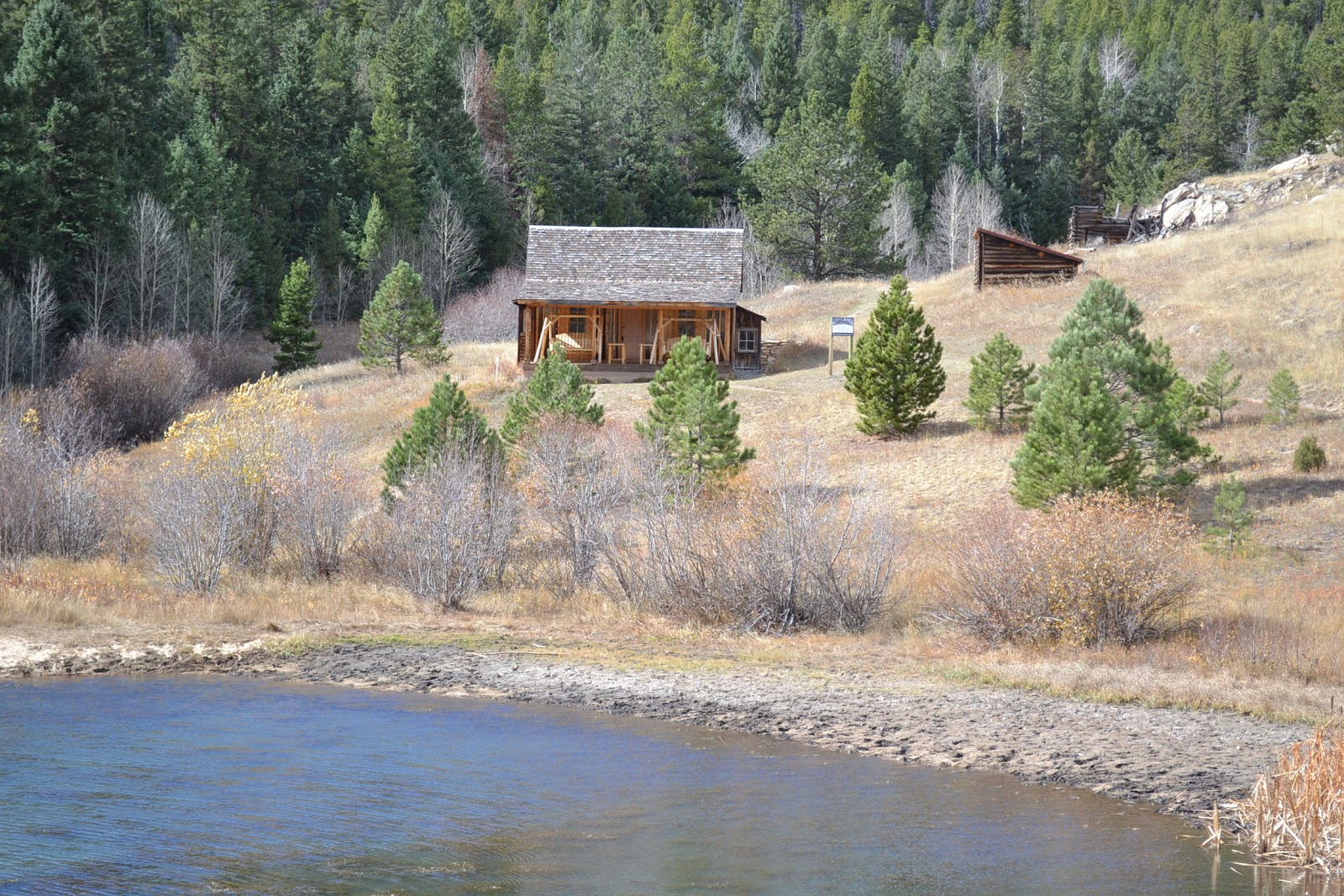 Dirt Life: Golden Gate: Mountain Lion