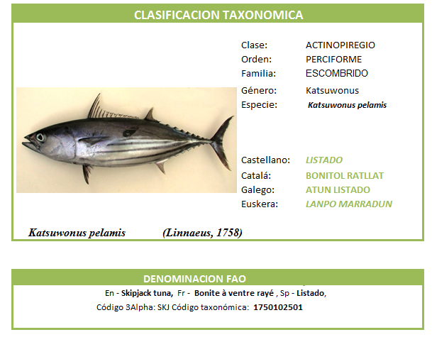 ARANTXA & Fish: BONITO DEL NORTE, Todo lo que debiera saber sobre él y ...