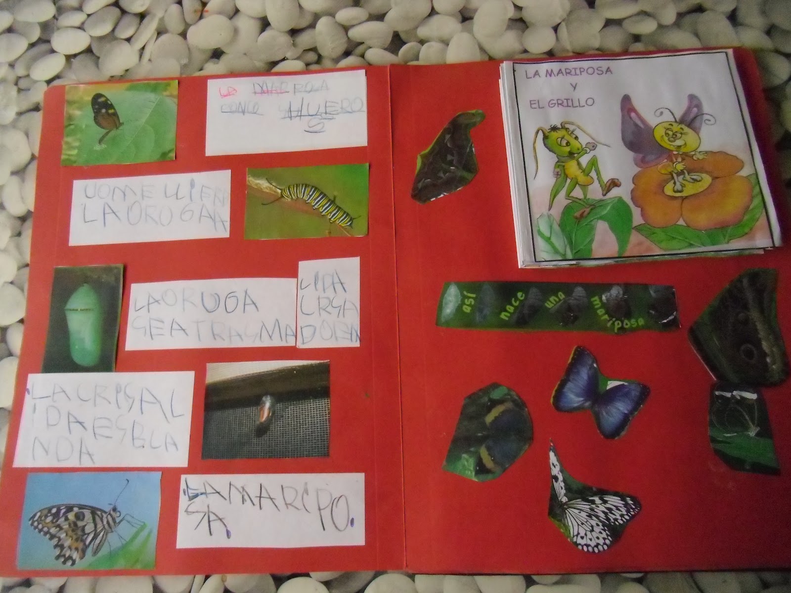 Trasteando en casa: Lapbook de Mariposa