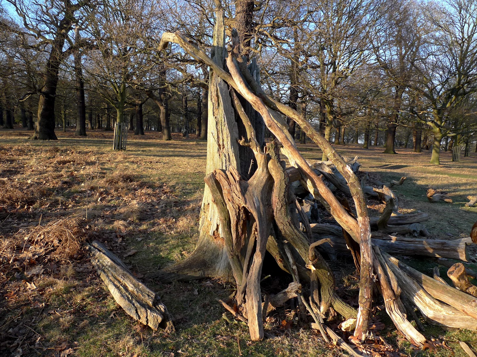 Simplicity is the New Black: March 2012