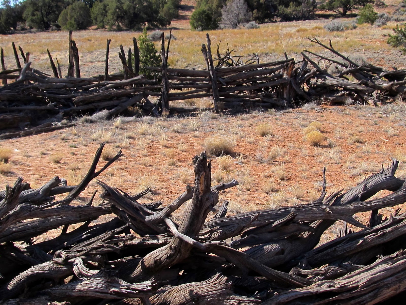 Janie and Steve, Utah Trails: Amazing Space