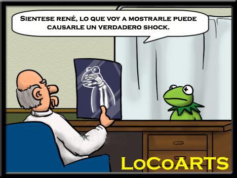 Me Cargo De La Risa: La radiografía de la Rana Rene