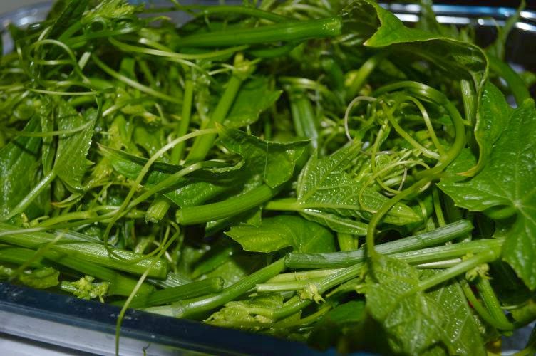 Mely's kitchen: Ginataang Talbos ng Sayote